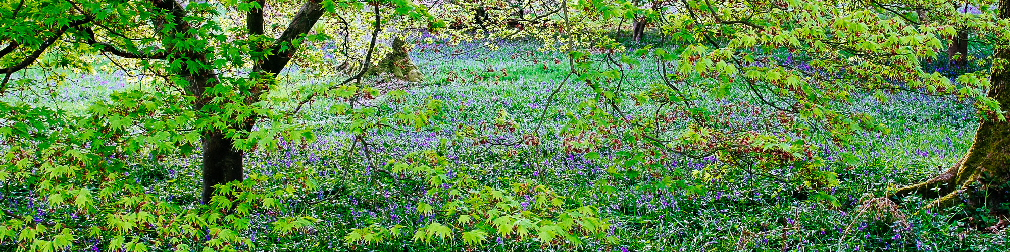 Should ICT remain on the National Curriculum? – An open mind