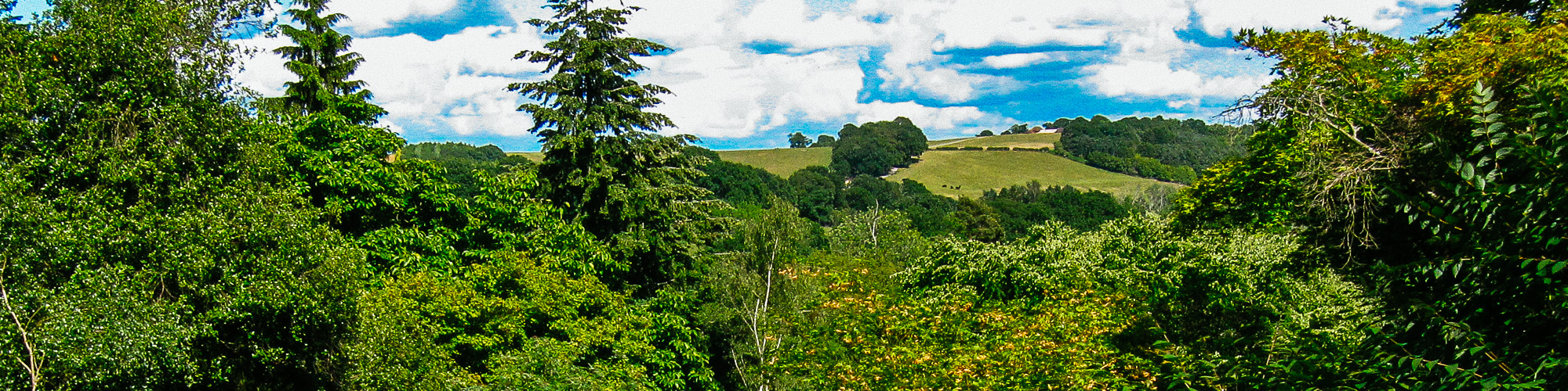 Reinventing the primary ICT curriculum. – An open mind