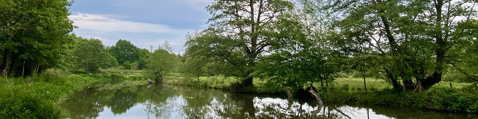 The two types of computational thinking – An open mind